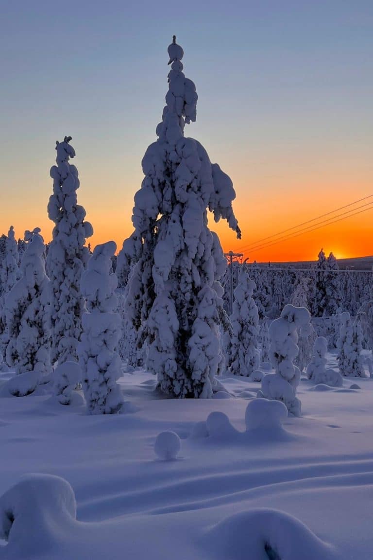 Lapland In Winter: 15 Bucket List Things To Do