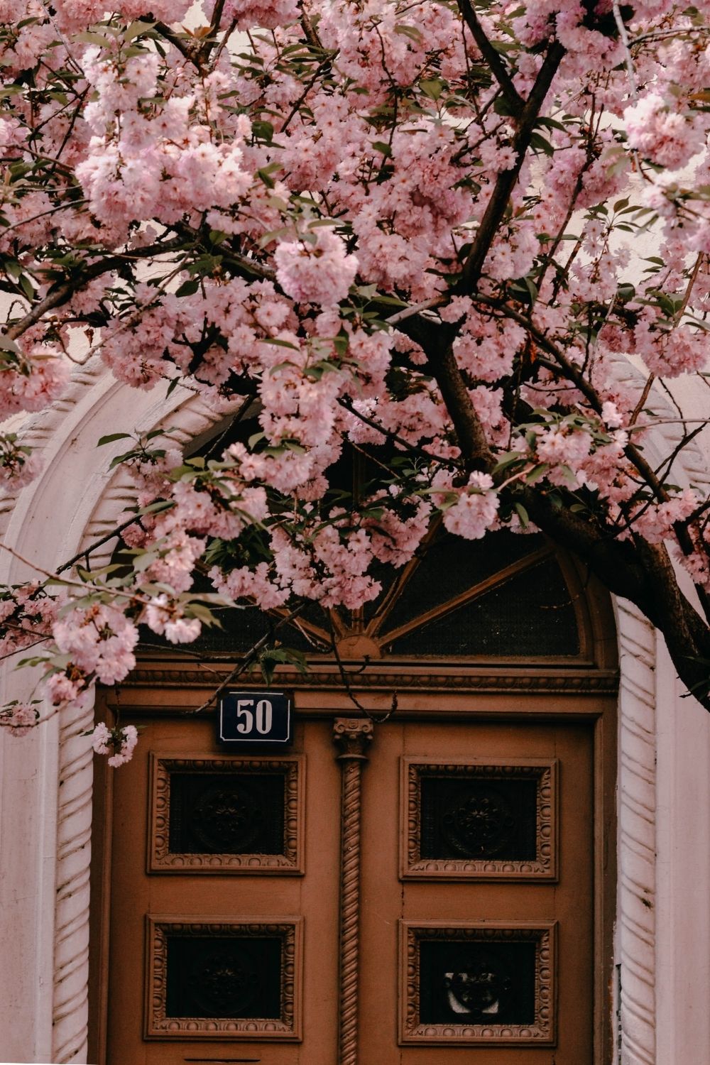 PARIS IN MARCH: THE ULTIMATE GUIDE [2023]