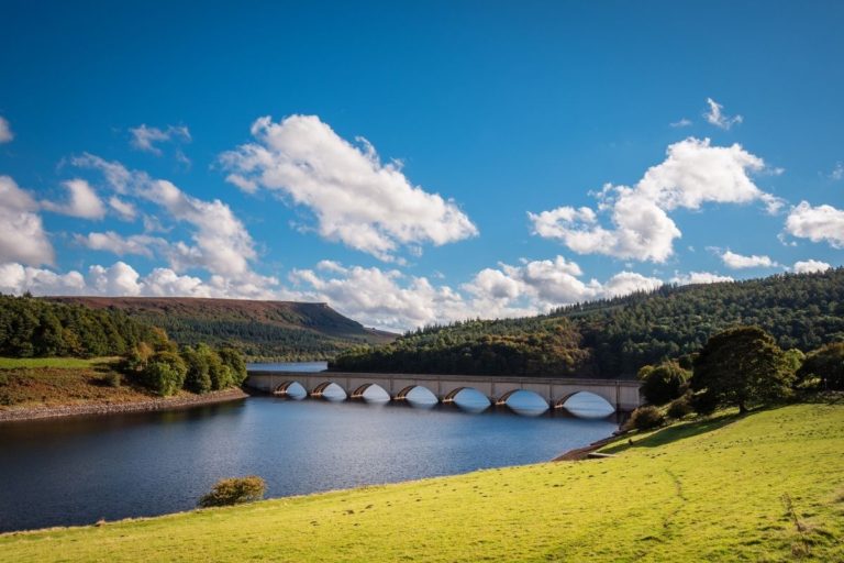 Ladybower Reservoir Walk: The Circular Wood Trail