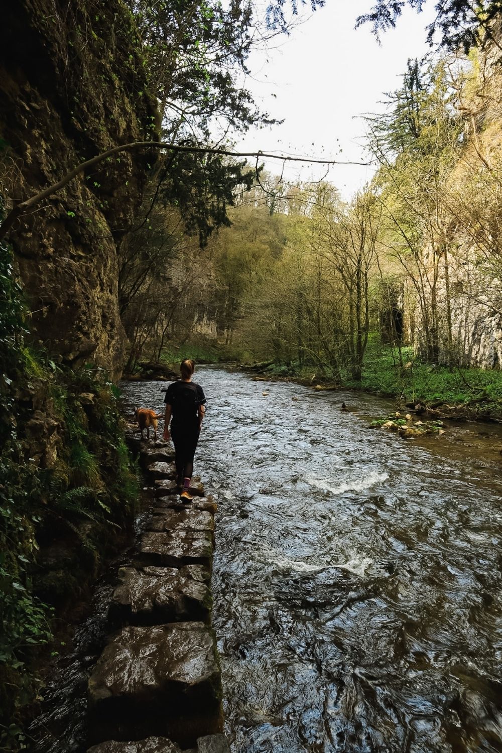 Chee Dale Stepping Stones And Circular Gorge Walk