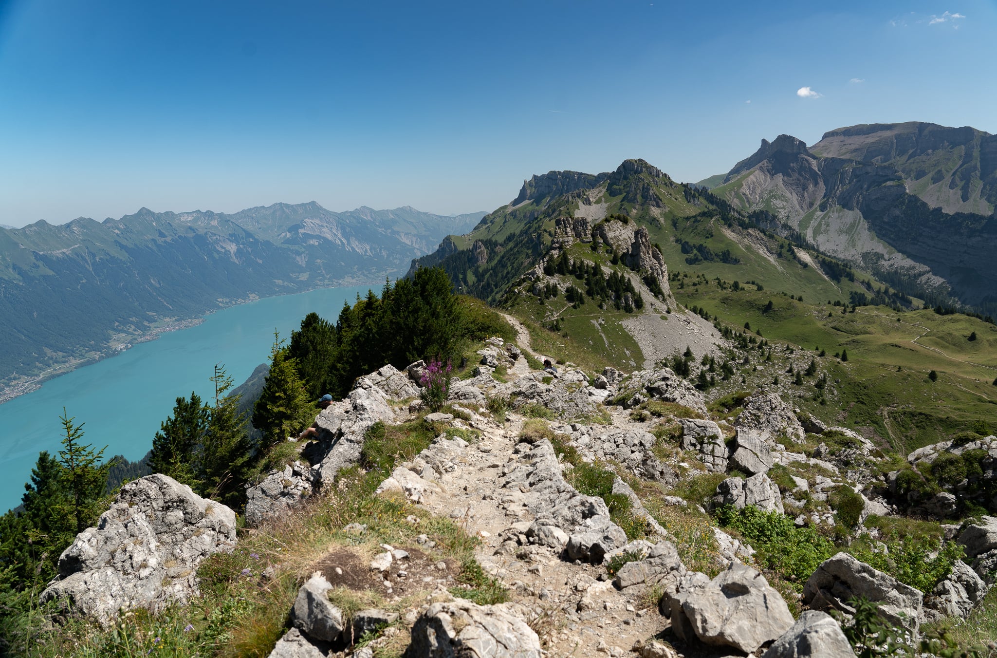Schynige Platte The Complete Guide