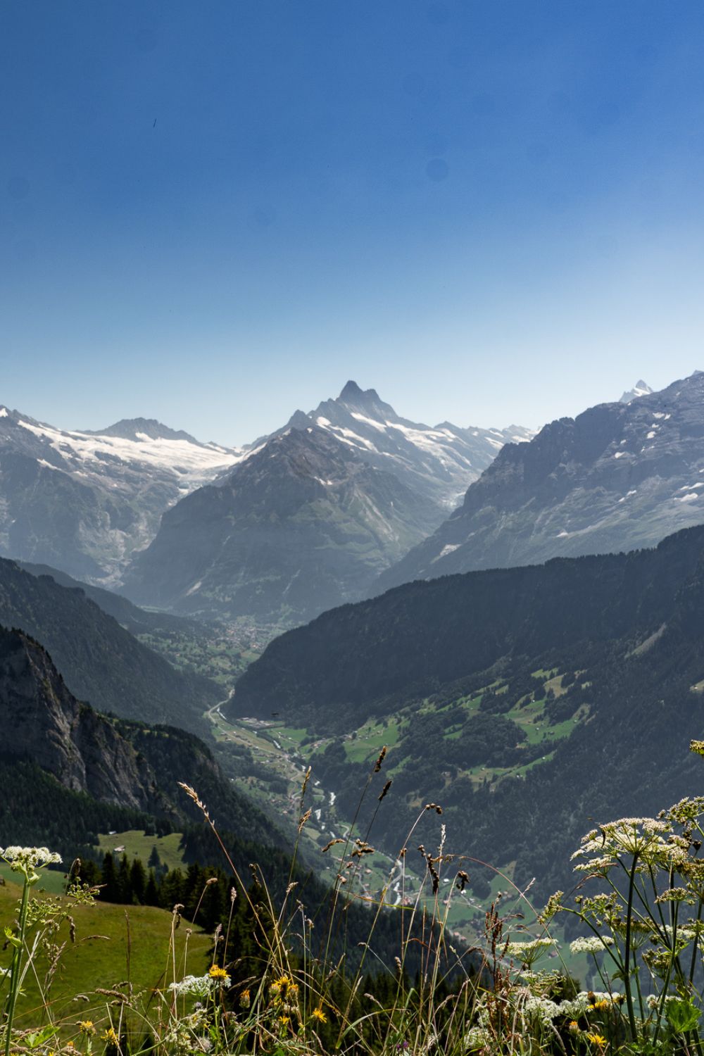 Hiking In Interlaken: 12 Best Hikes To Experience – SOVRNY