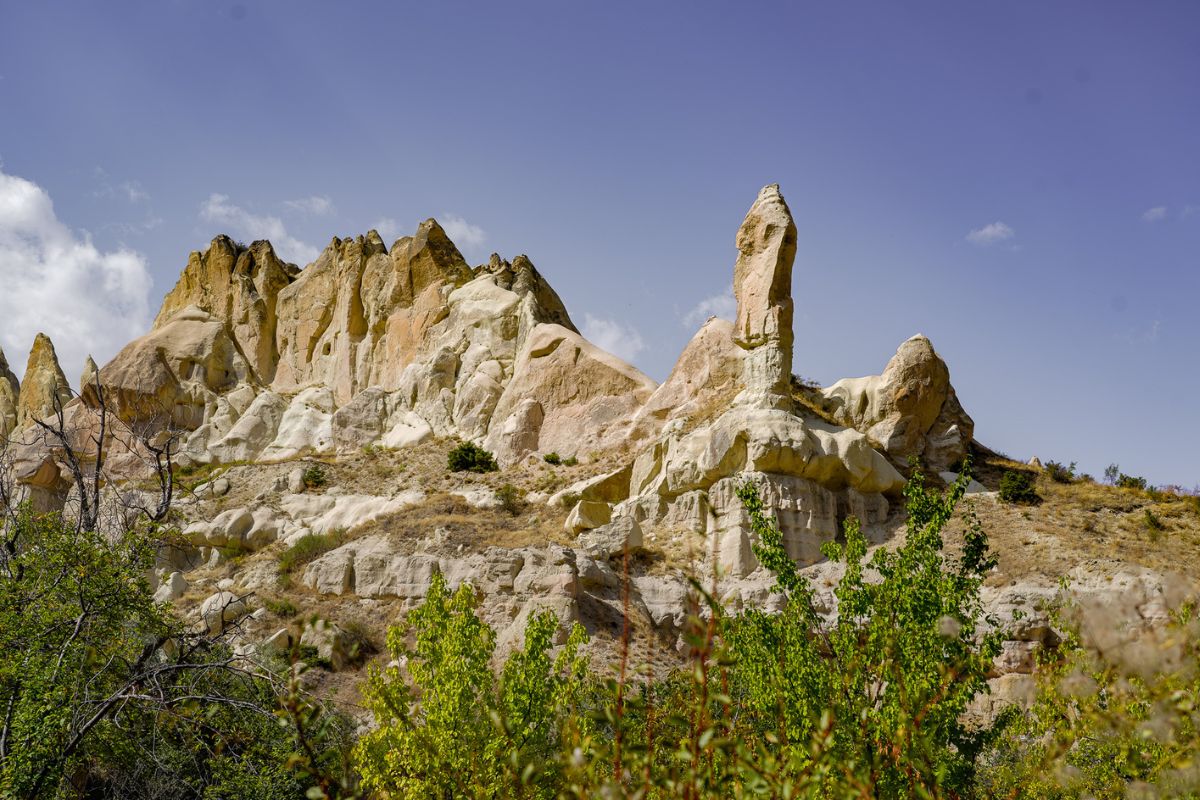 PIGEON VALLEY TURKEY: WHAT TO KNOW BEFORE YOU GO