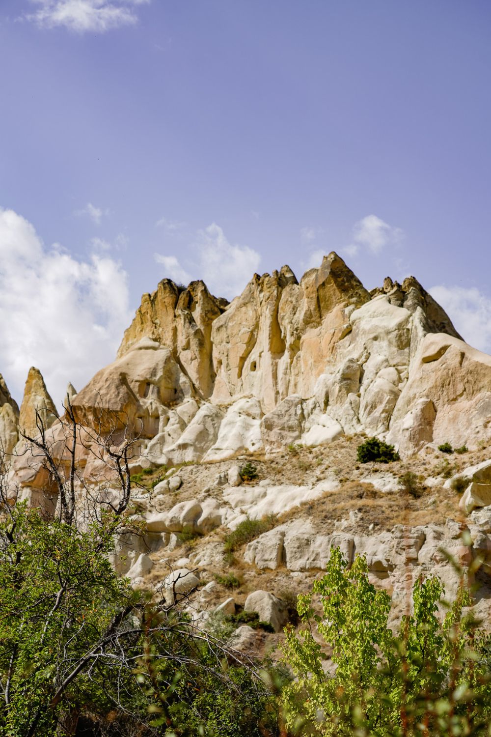 PIGEON VALLEY TURKEY: WHAT TO KNOW BEFORE YOU GO