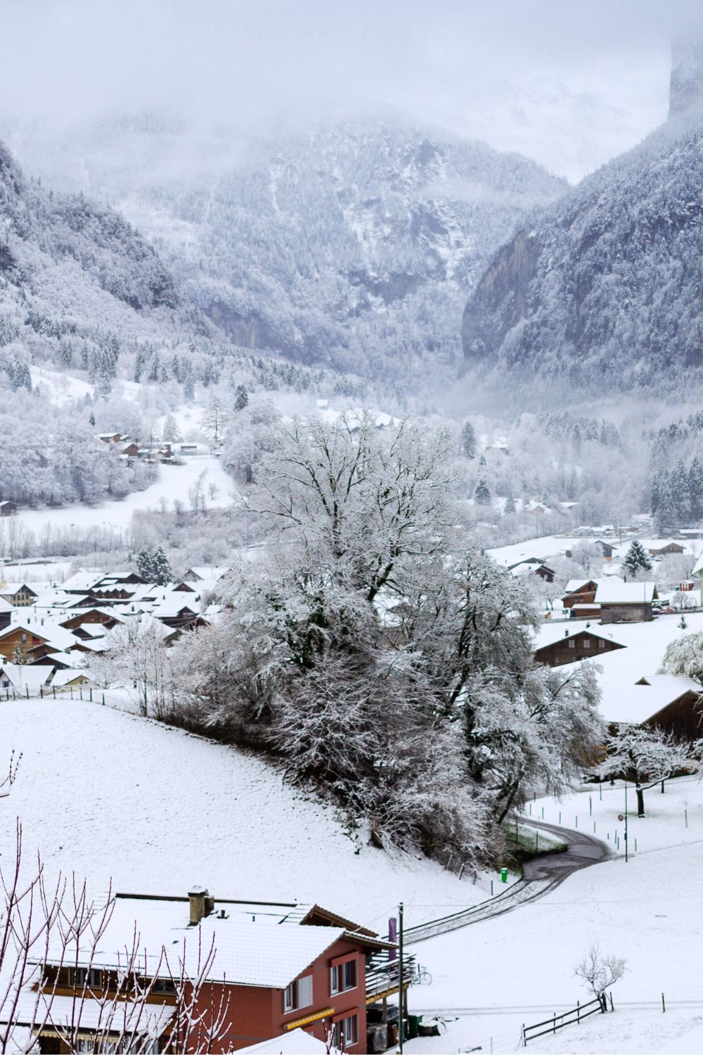Interlaken in Winter: 24 Things to Do in Switzerland’s Magical Town