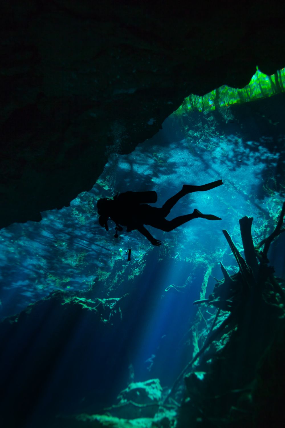 Cenote Diving in Tulum, Mexico: The Ultimate Guide